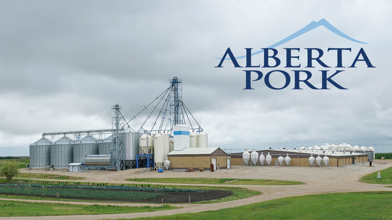 Alberta Pork
